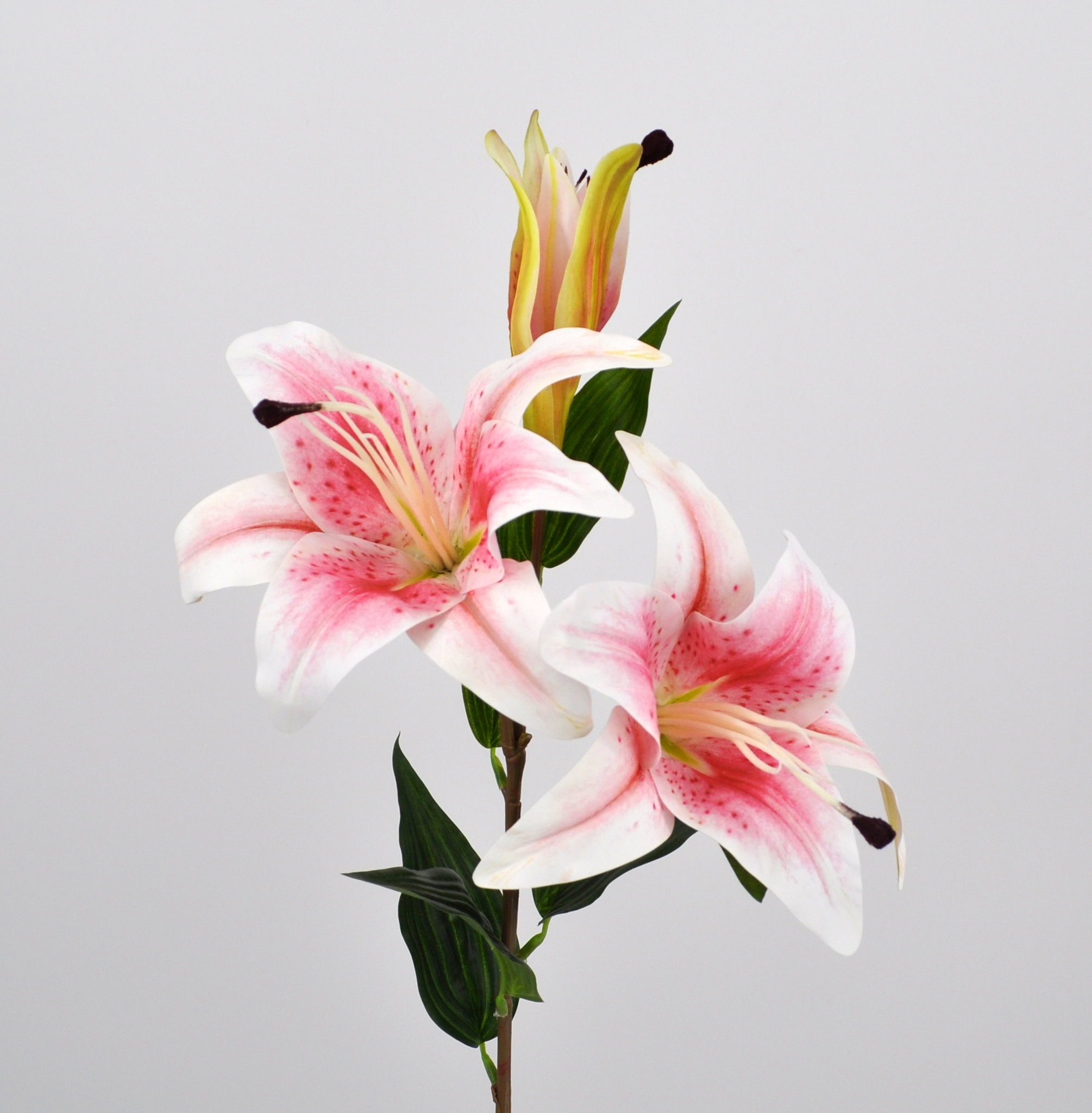 Lilium artificiale rosa in materiale di qualità per composizioni di ...
