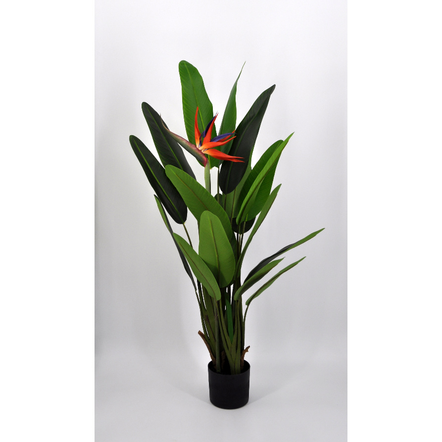 Pianta Strelitzia artificiale media per decorazioni di interni